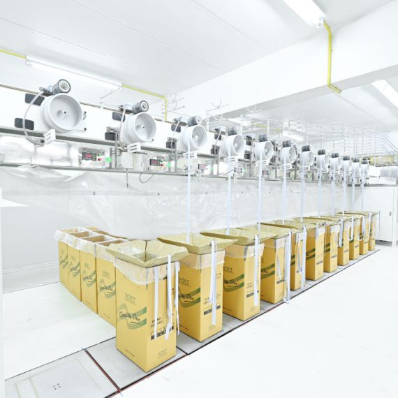 Natural Rubber Thread Co.,Ltd : high-quality natural rubber threads